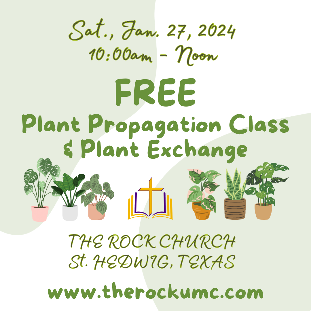 Plant Propagation Class & Plant Exchange – The Rock United Methodist Church